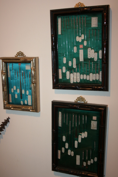 History of Traditional Chinese Medicine | Angelica K | The Han ...